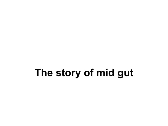 GI development embryology & Concept of Peritoneum | PPTX | Digestive ...