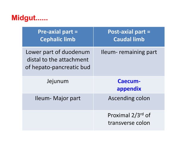 GI development embryology & Concept of Peritoneum | PPTX | Digestive ...