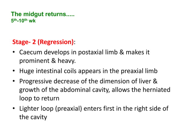 GI development embryology & Concept of Peritoneum | PPTX | Digestive ...