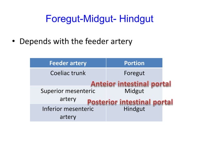 GI development embryology & Concept of Peritoneum | PPTX | Digestive ...