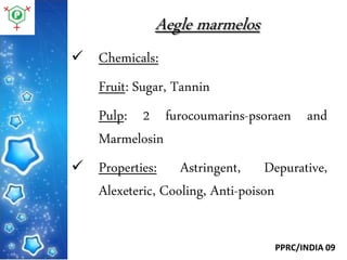 Gastrointestinal disorders | PDF | Herbs and Supplements | Alternative ...