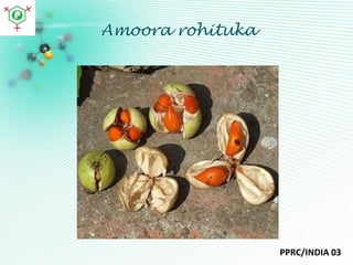 Gastrointestinal Disorders - Part II | PPT