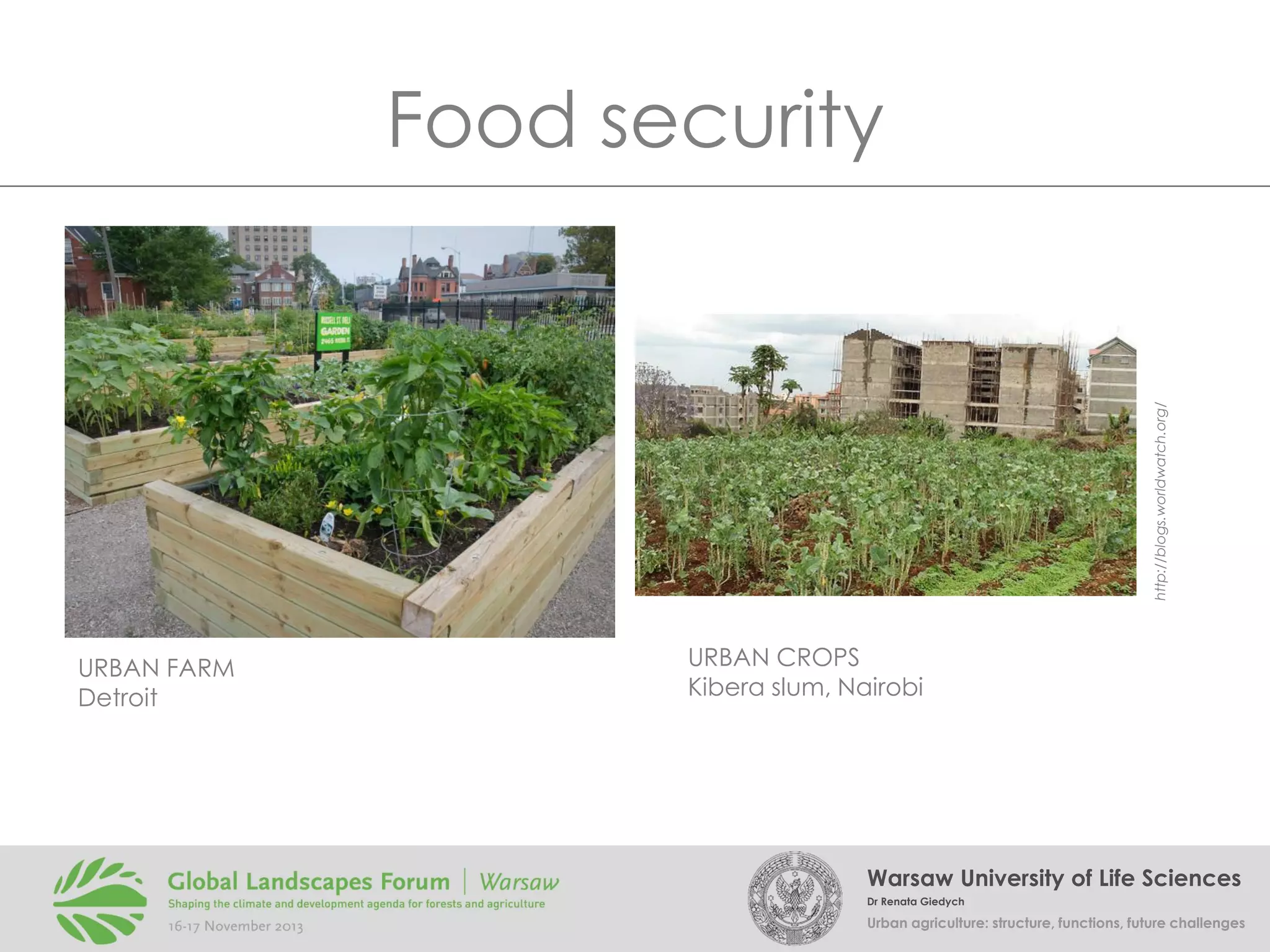 Urban agriculture: structure, functions, future challenges | PDF