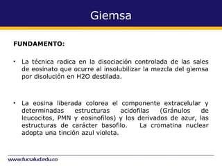 Giemsa | PPT