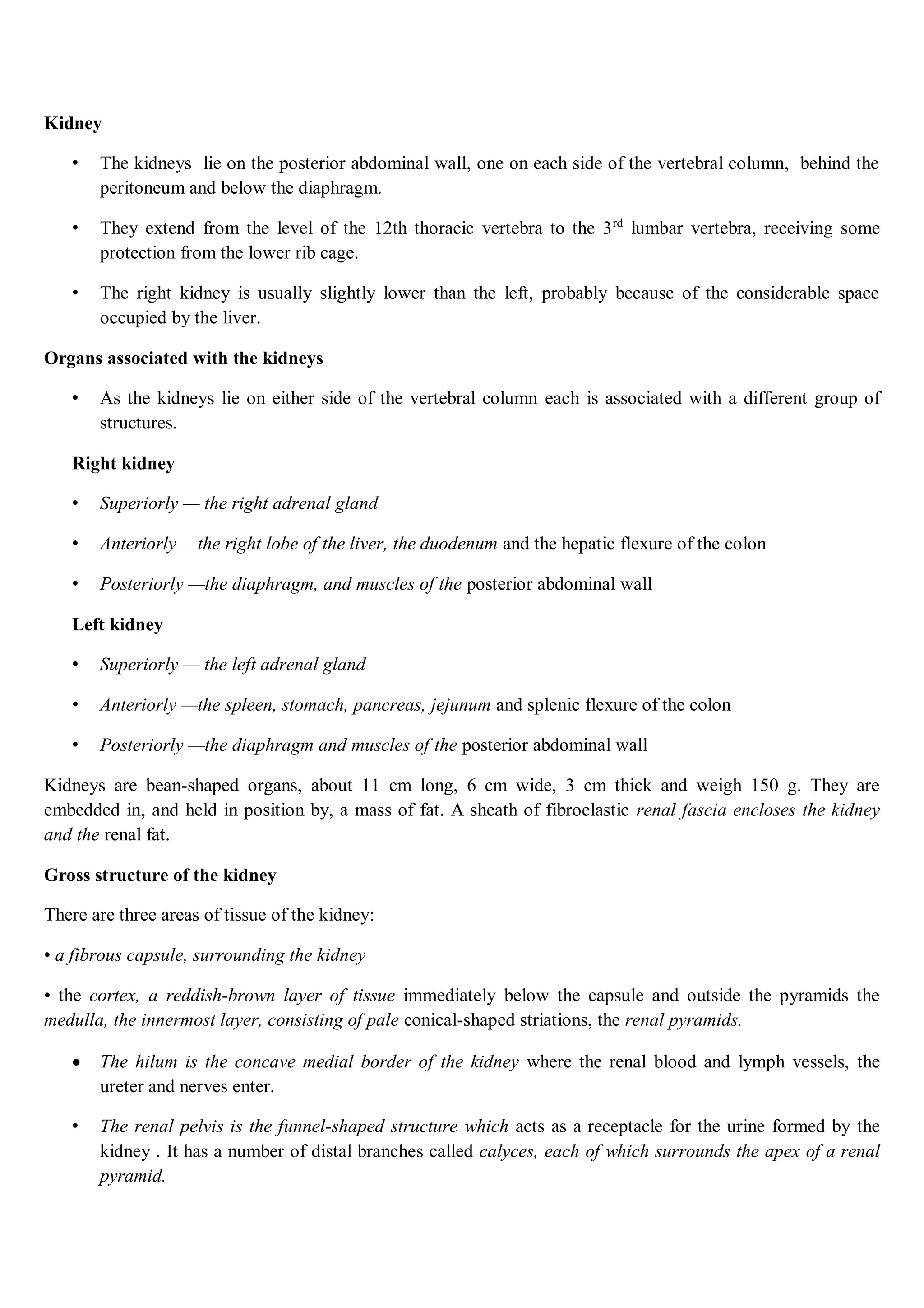 Urinary system word | PDF