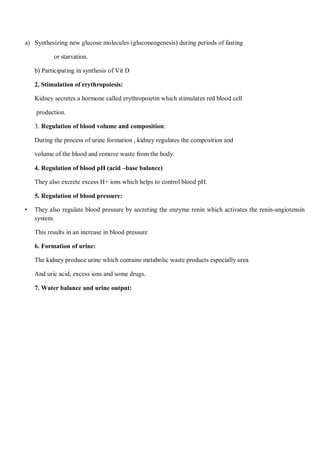 Urinary system word | PDF