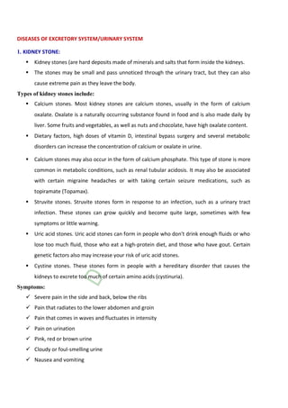 Urinary system word | PDF