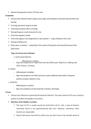 Urinary system word | PDF