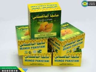 Gift boxes | Kuwait gifts | onestopshop | PPT