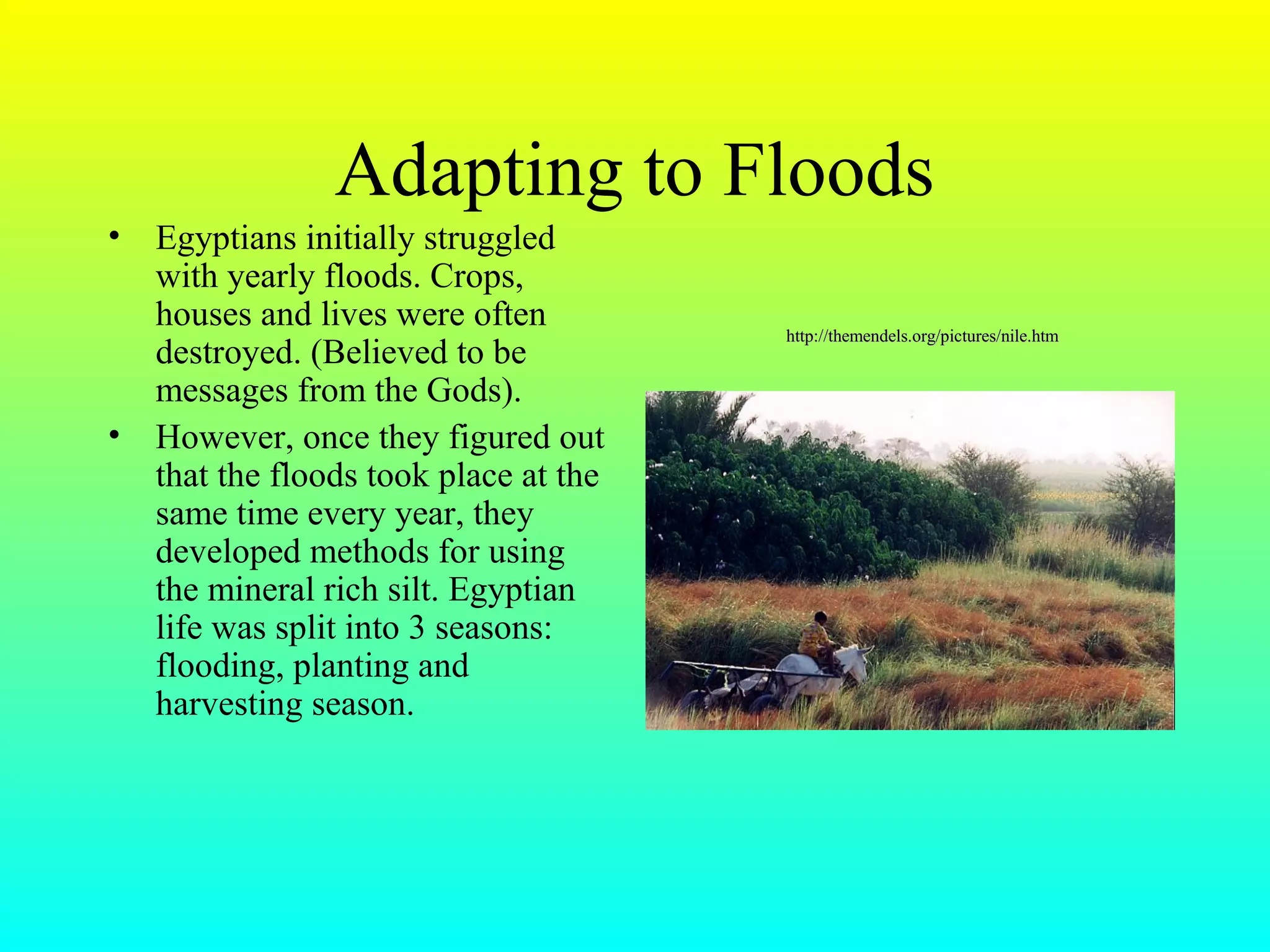 Gifts of the nile.ppt shortened | PPT