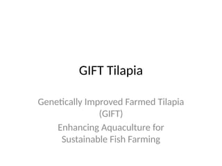 GIFT_Tilapia_Detailed_Presentation .pptx