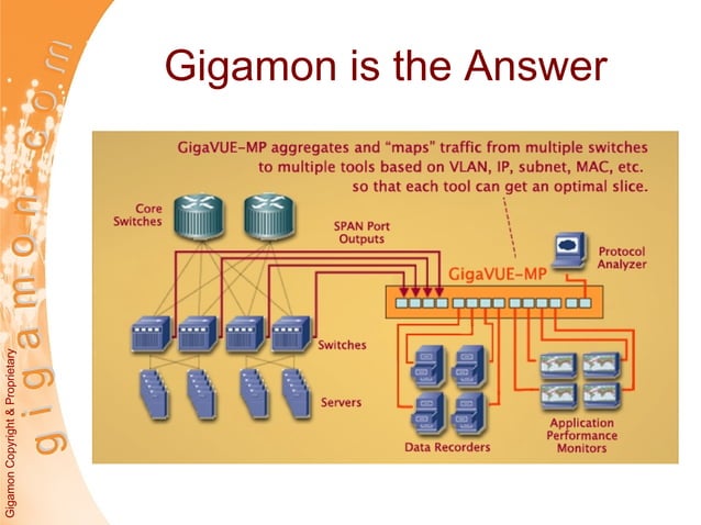 Gigamon Systems Case Studies | PPT