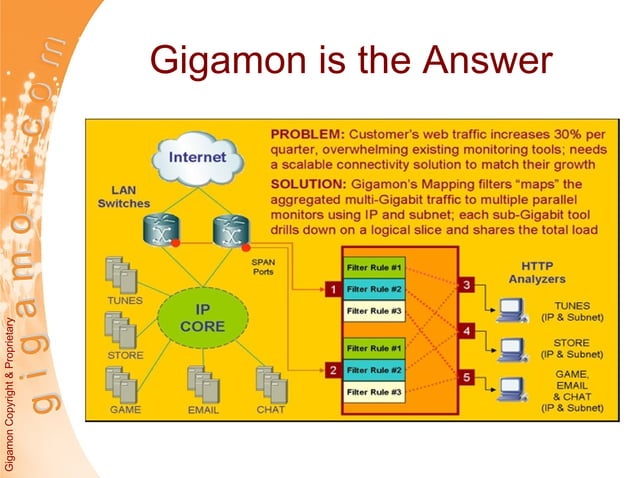 Gigamon Systems Case Studies | PPT