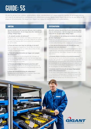Gigant 5 s guide | PDF