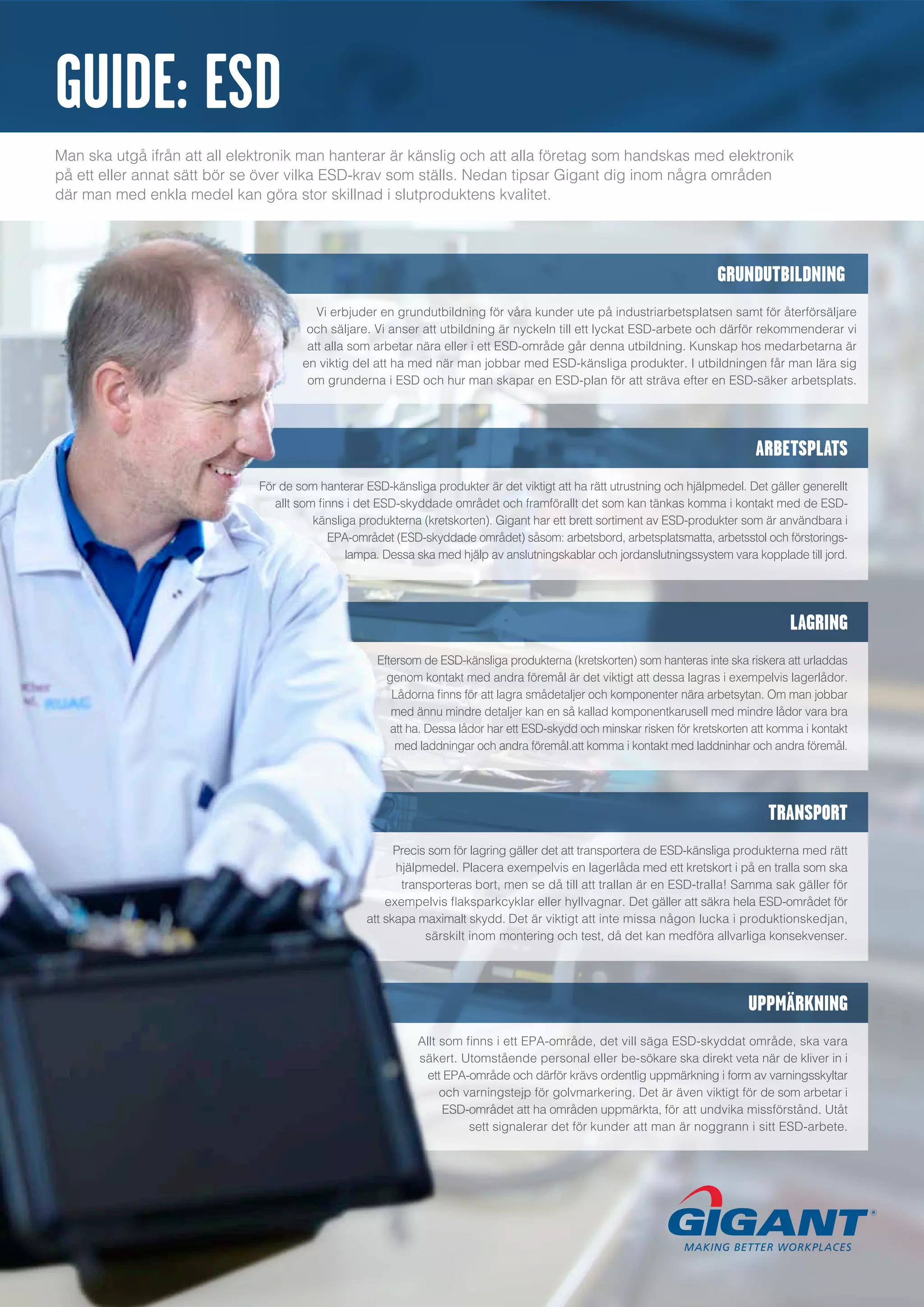 Gigant ESD guide | PDF | Technology & Computing