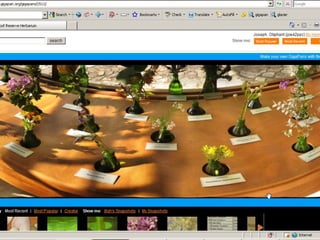 Gigapan In The Classroom | PPT