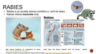 gigitan binatang dan tetanus.pptx