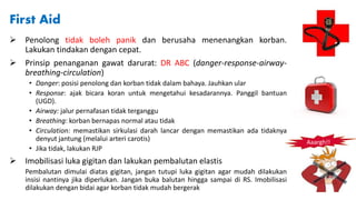 First Aid - Gigitan ular, kucing, dan anjing | PDF