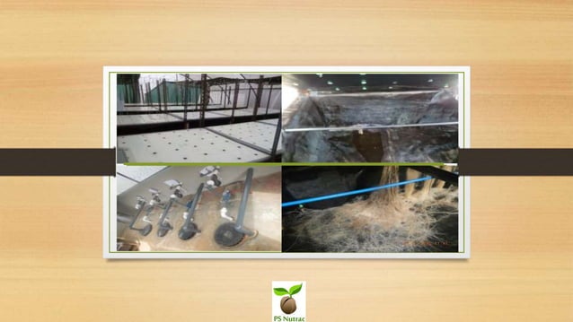 Evaluation of Aeroponic Farming as an alternative to Soil farming: Soil ...