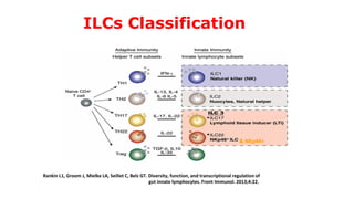 Non-Conventional T-cells in the Pathogenesis of Alopecia Areata | PDF