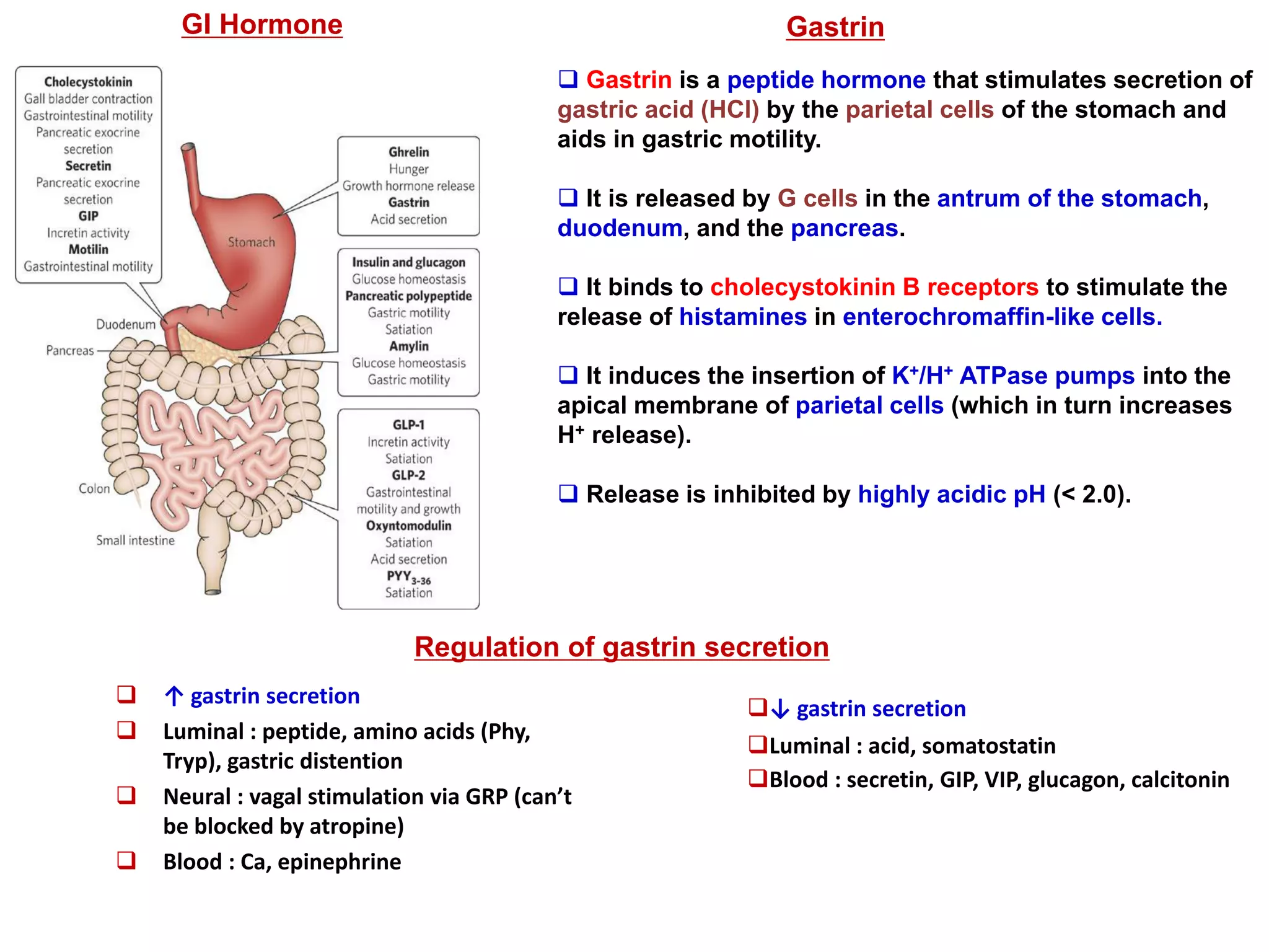 Gastrointestinal hormones ( Gastrin , secretin and cholecystokinin) | PDF