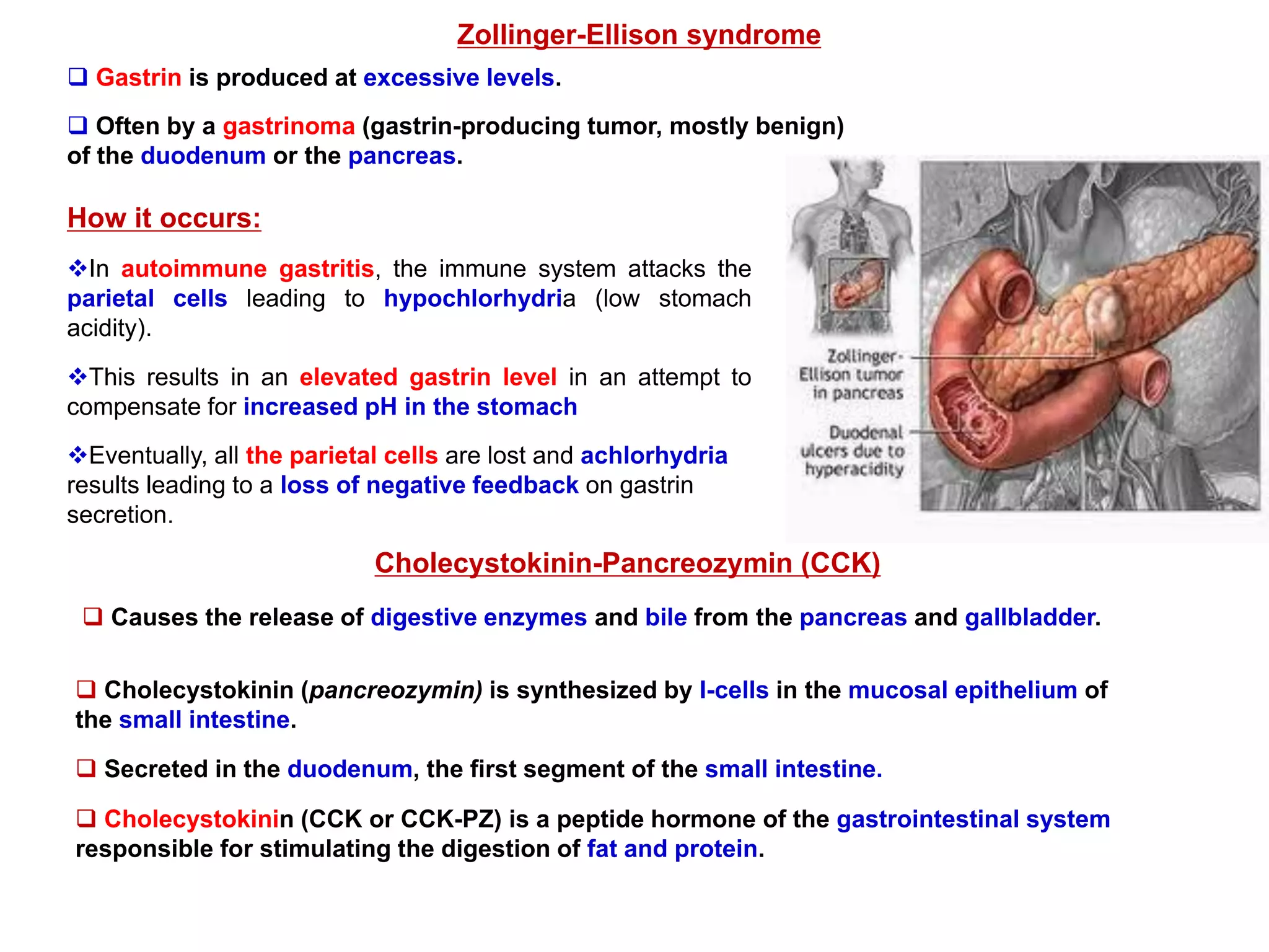 Gastrointestinal hormones ( Gastrin , secretin and cholecystokinin) | PDF