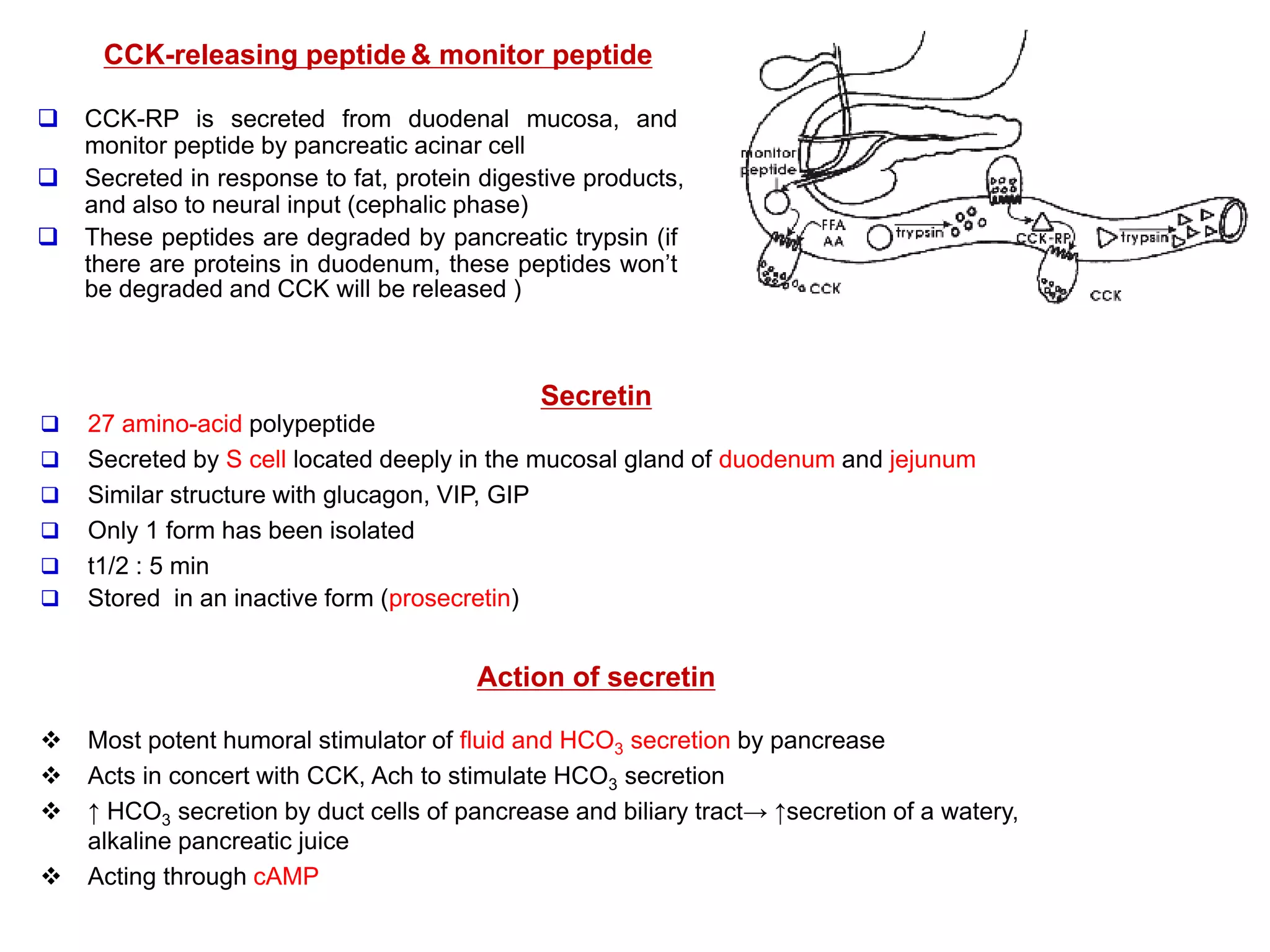 Gastrointestinal hormones ( Gastrin , secretin and cholecystokinin) | PDF