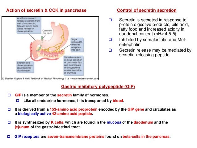 Gastrointestinal hormones ( Gastrin , secretin and cholecystokinin)