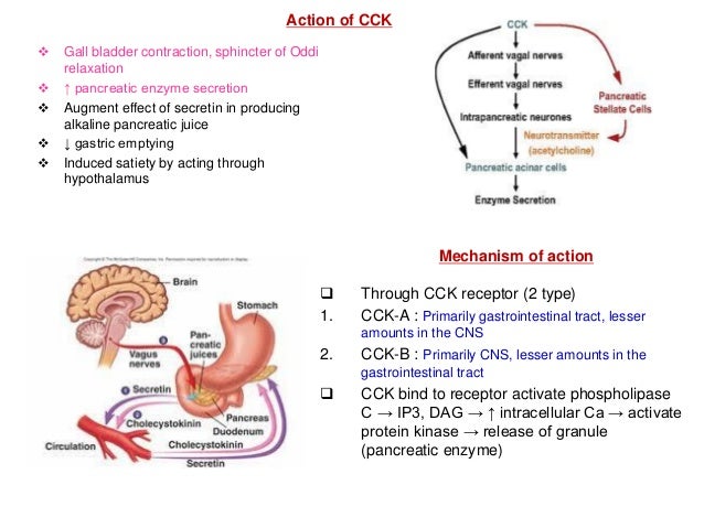 Gastrointestinal hormones ( Gastrin , secretin and cholecystokinin)