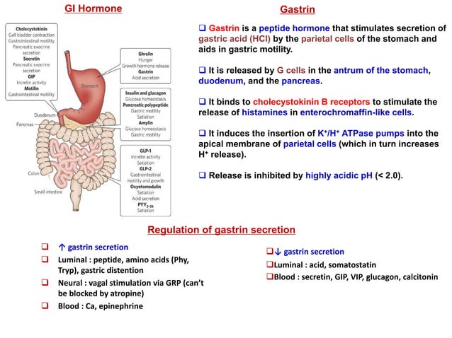 Gi Hormone