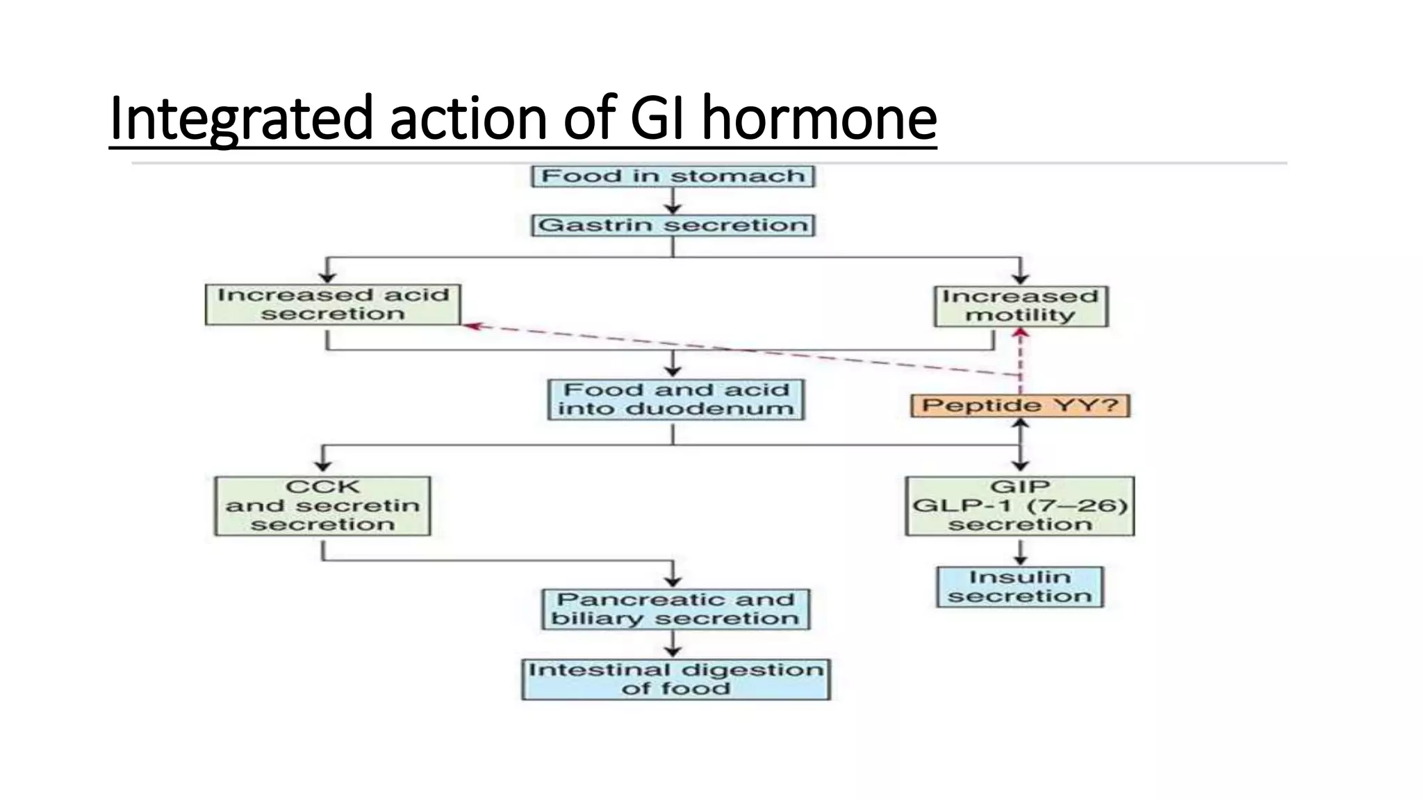 GI HORMONES.pptx