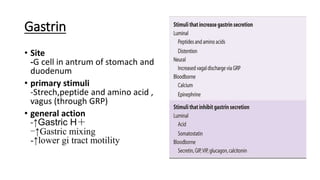 GI HORMONES.pptx