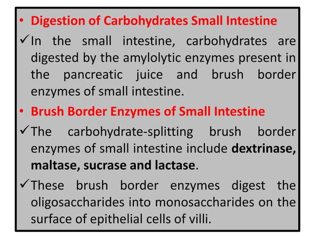 Gastrointestinal Hormones Their Uses And Functions Ppt 6793