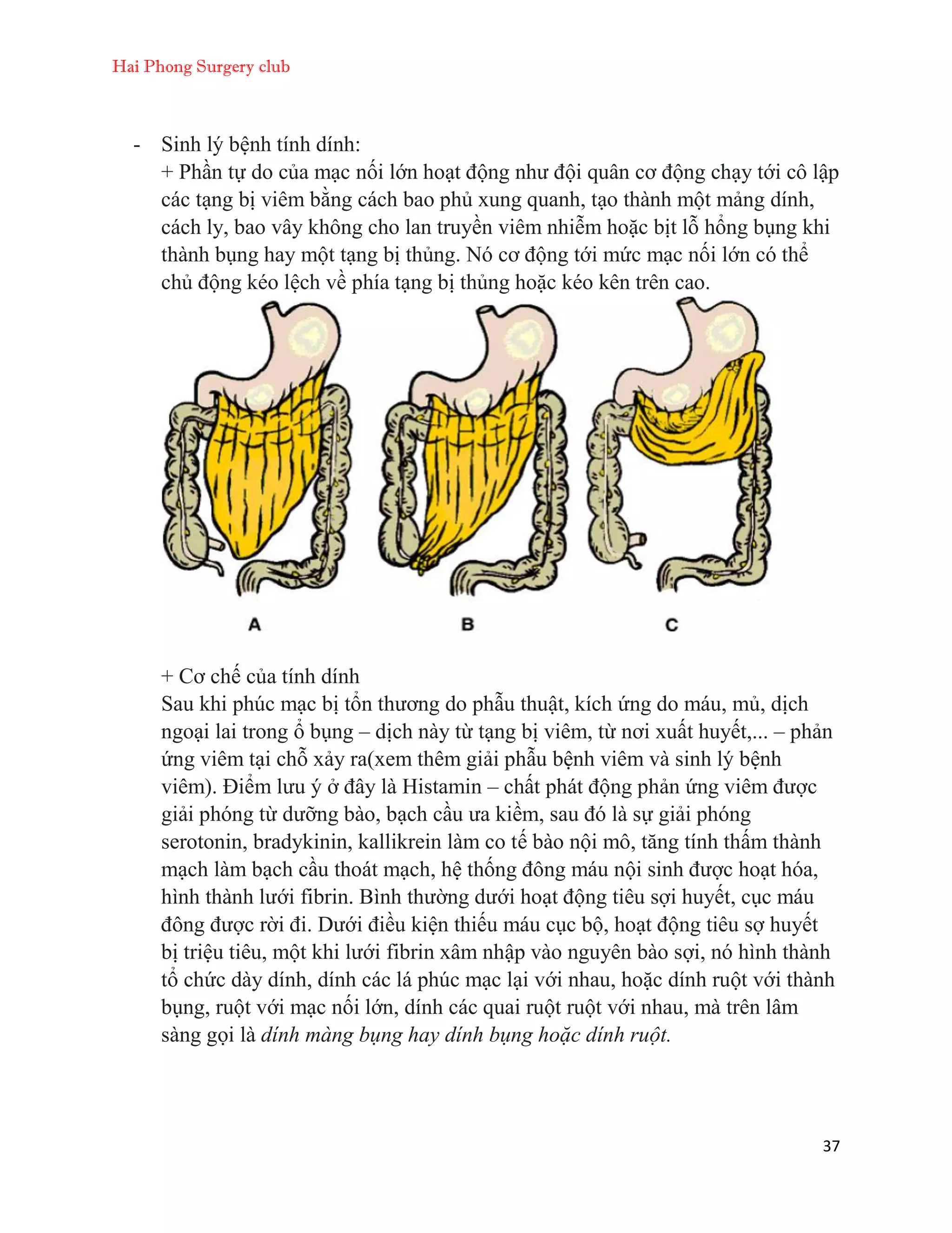 Giải phẫu-ứng-dụng-phúc-mạc | PDF