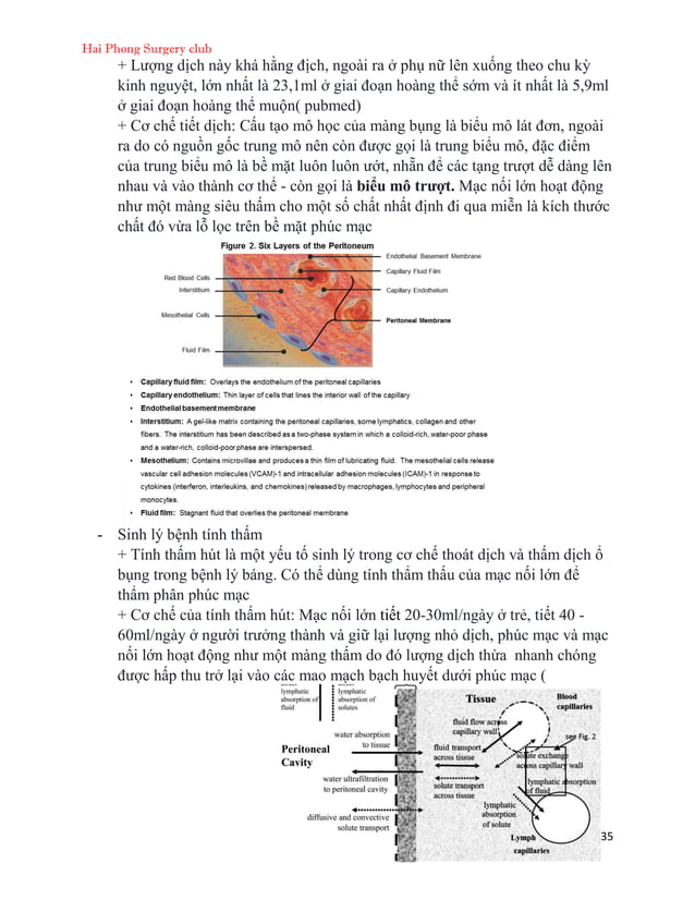 Giải phẫu-ứng-dụng-phúc-mạc | PDF