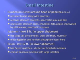 medicina | PPT