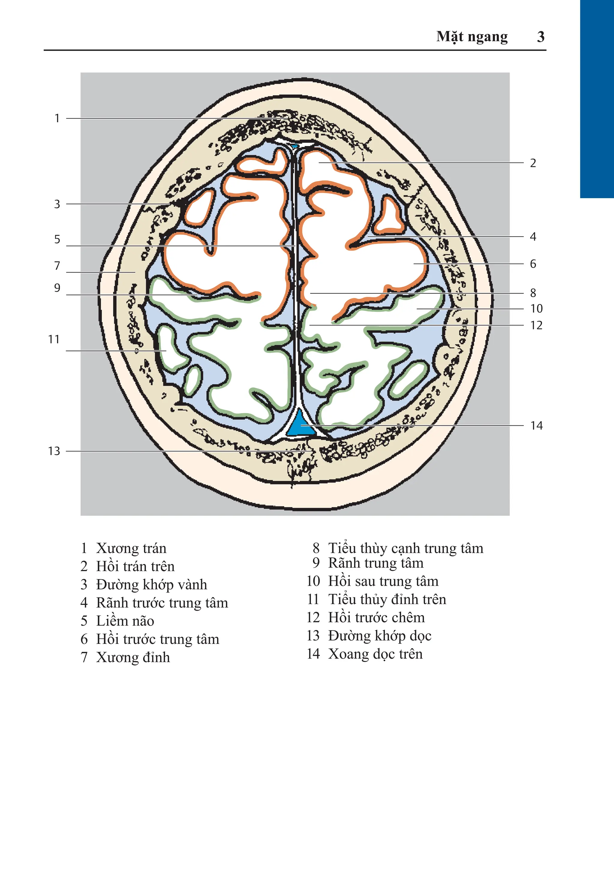 Giải phẫu Cắt lớp CT-MRI Tập 1.pdf
