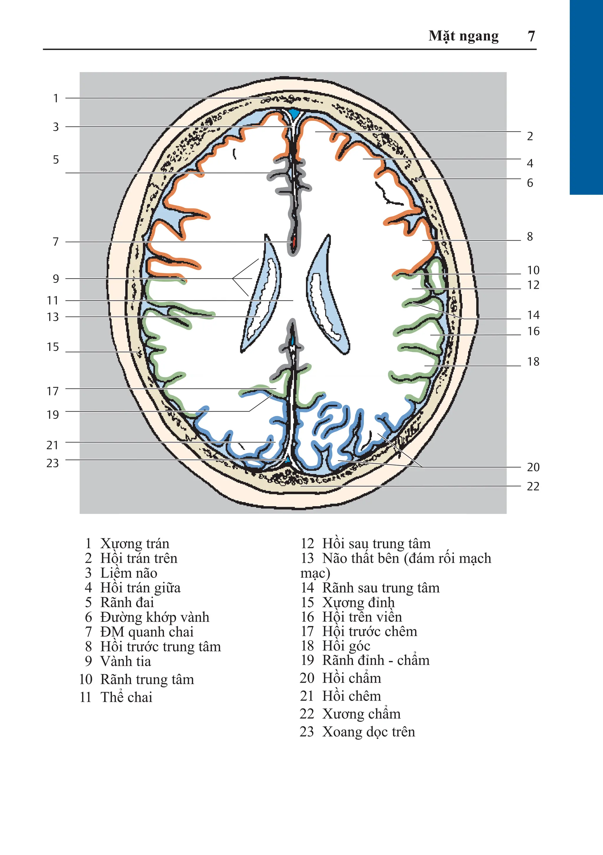 Giải phẫu Cắt lớp CT-MRI Tập 1.pdf