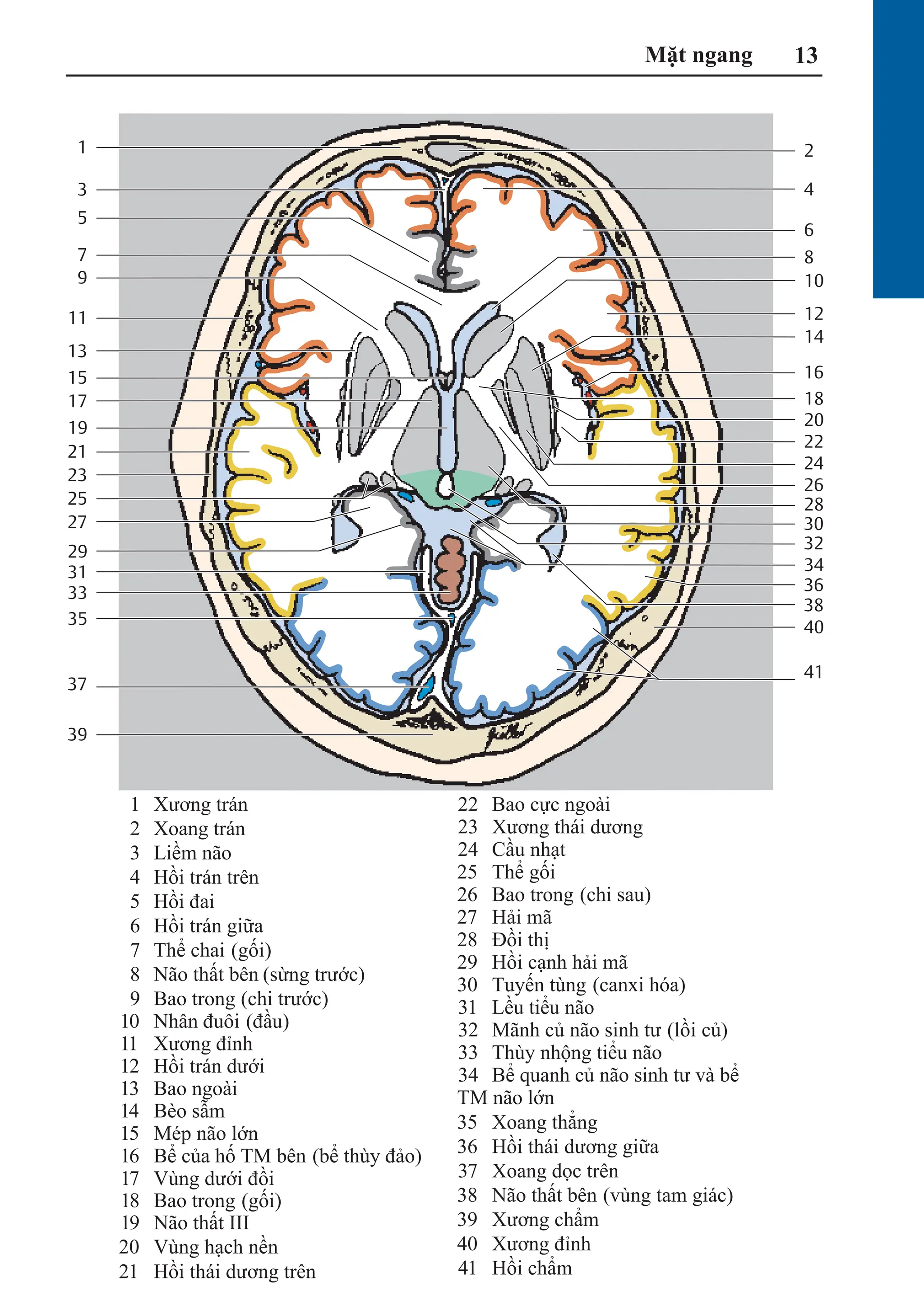 Giải phẫu Cắt lớp CT-MRI Tập 1.pdf