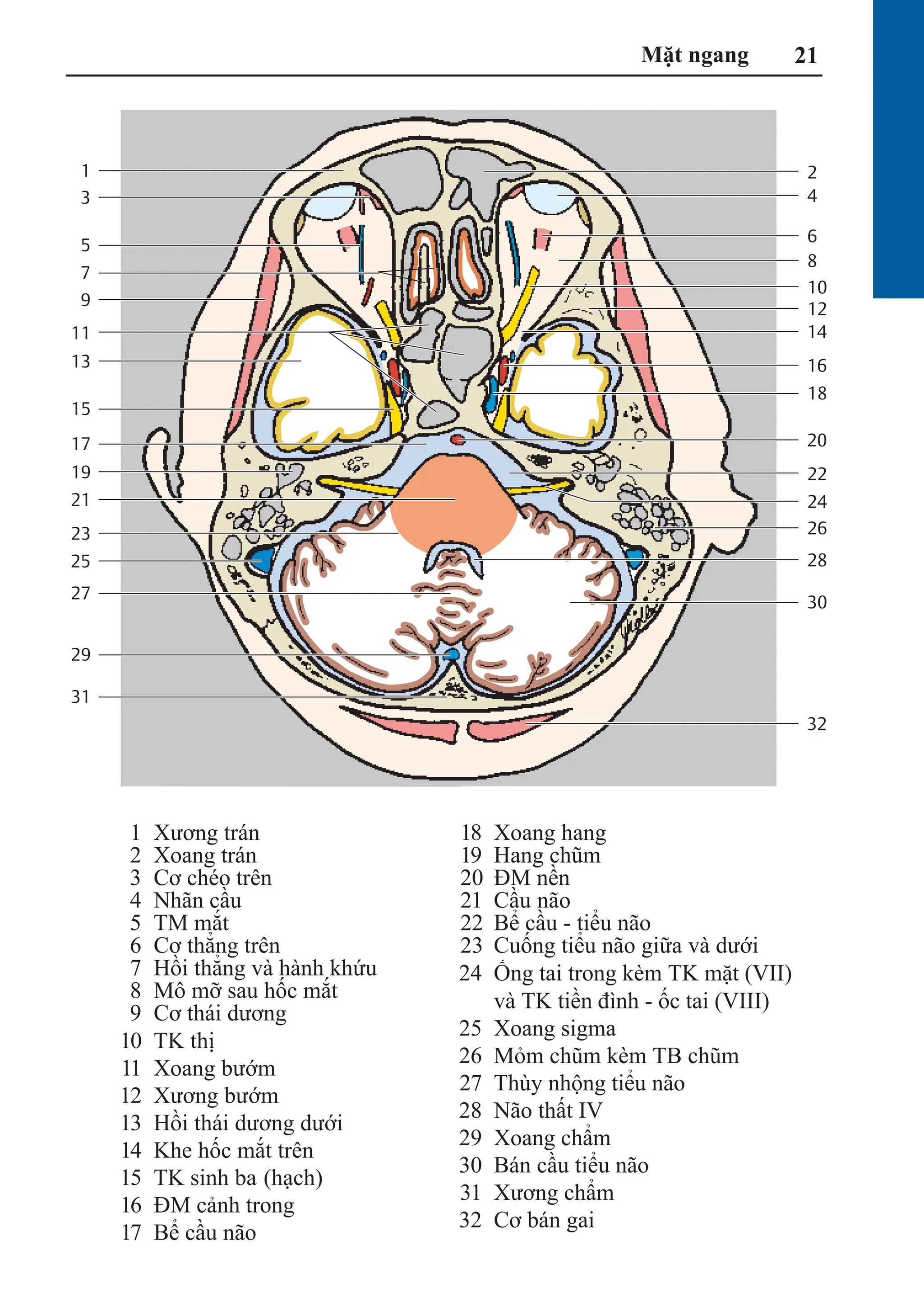 Giải phẫu Cắt lớp CT-MRI Tập 1.pdf