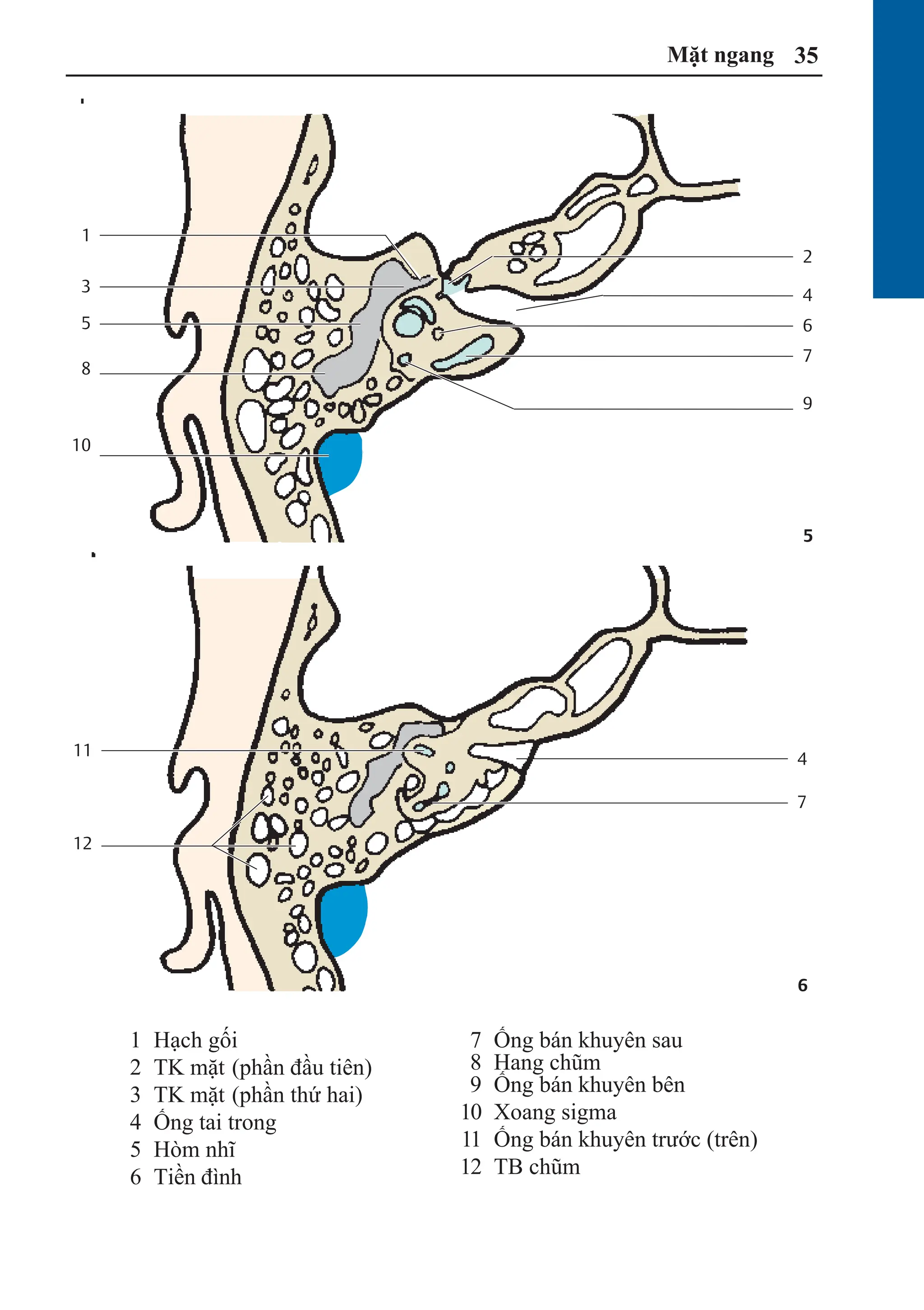 Giải phẫu Cắt lớp CT-MRI Tập 1.pdf