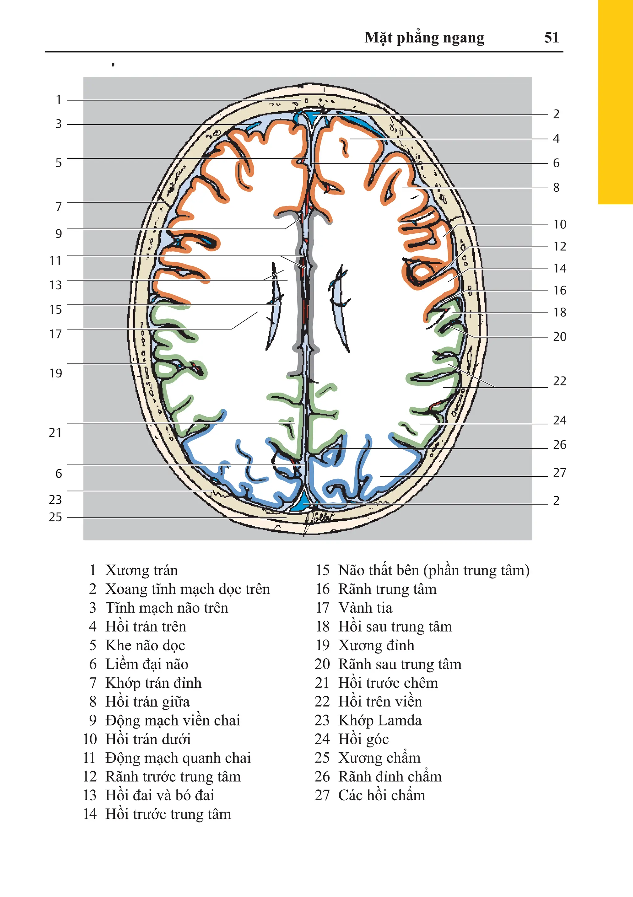 Giải phẫu Cắt lớp CT-MRI Tập 1.pdf