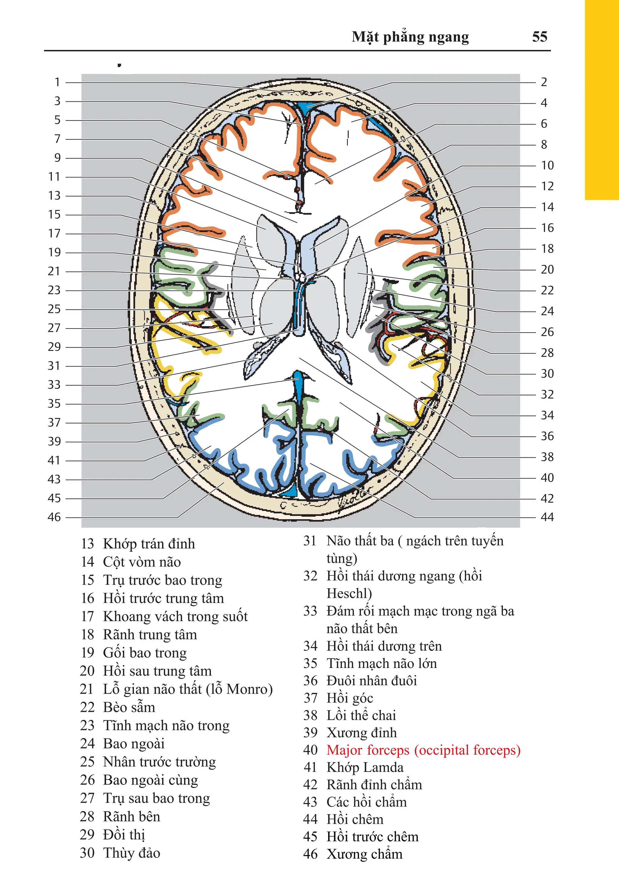Giải phẫu Cắt lớp CT-MRI Tập 1.pdf