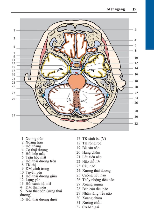 Giải phẫu Cắt lớp CT-MRI Tập 1.pdf