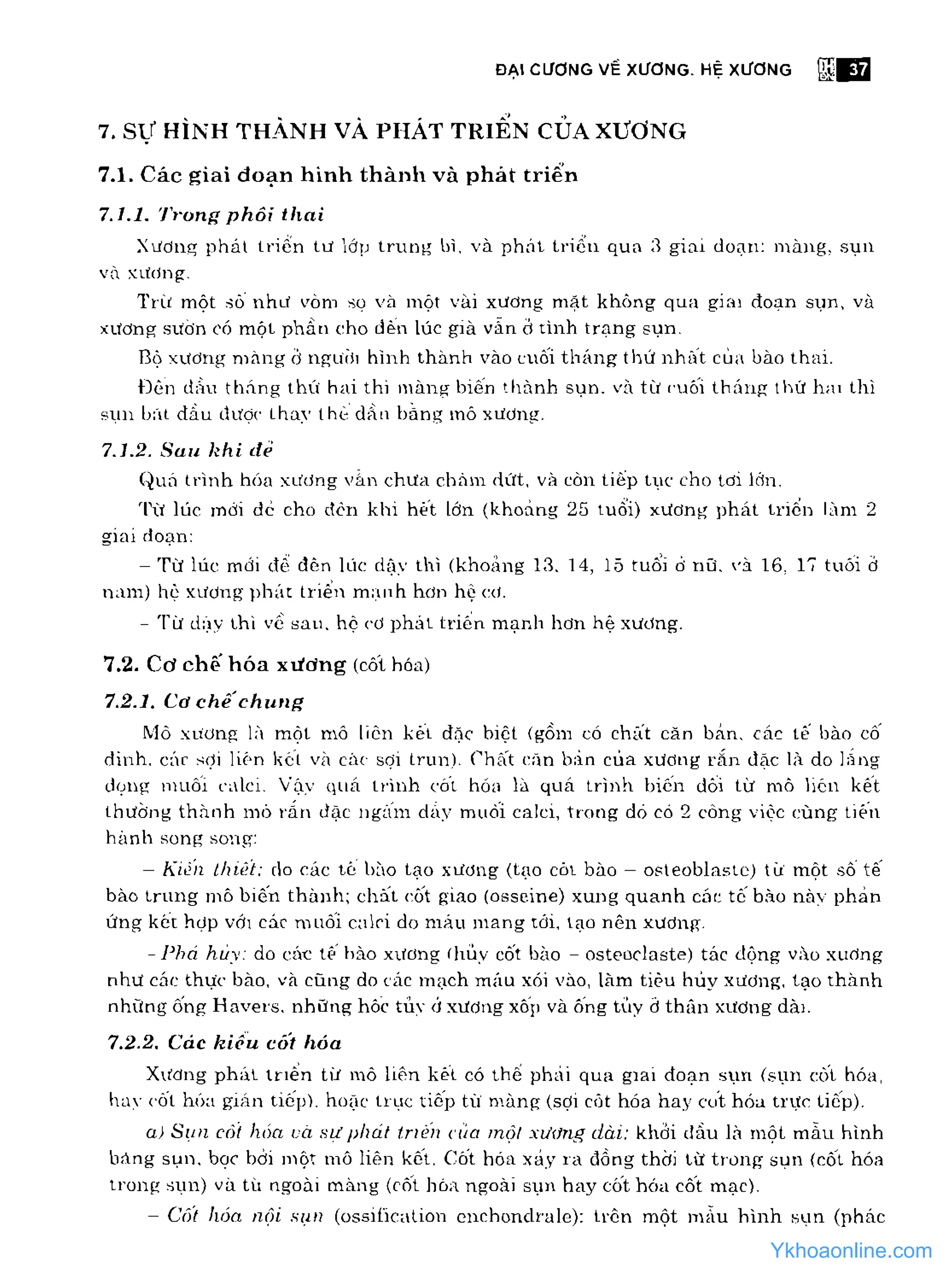 Giải phẫu người tập 1 gs. trịnh văn minh byt | PDF