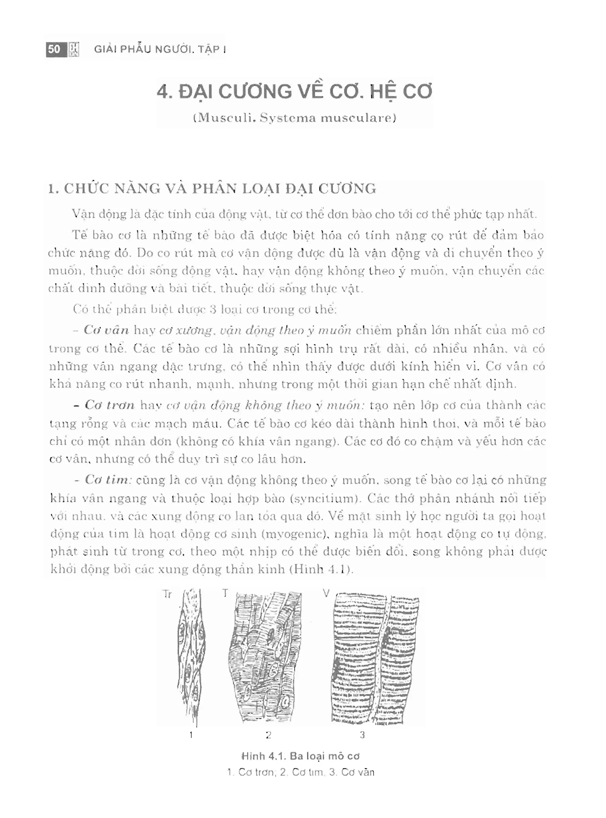 Giải phẫu người tập 1 gs. trịnh văn minh byt | PDF