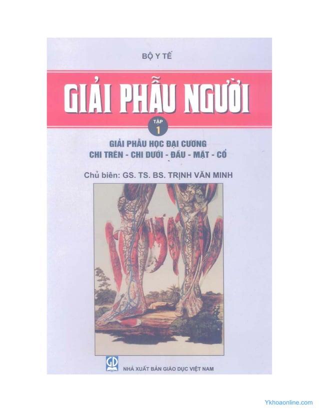 Giải phẫu người tập 1 gs. trịnh văn minh byt | PDF