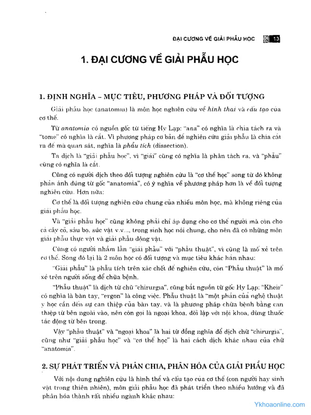 Giải phẫu người tập 1 gs. trịnh văn minh byt | PDF