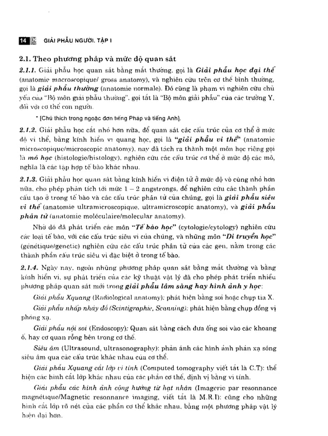 Giải phẫu người tập 1 gs. trịnh văn minh byt | PDF