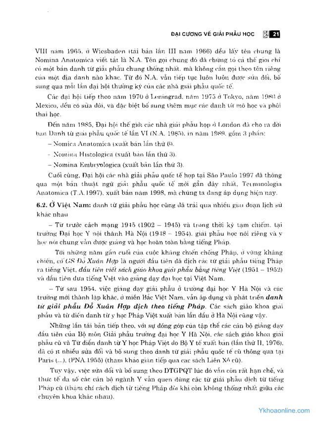 Giải phẫu người tập 1 gs. trịnh văn minh byt | PDF